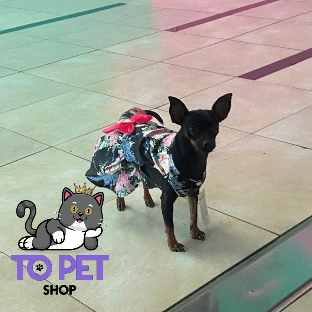 Home - Productos para mascotas - ToPet Shop