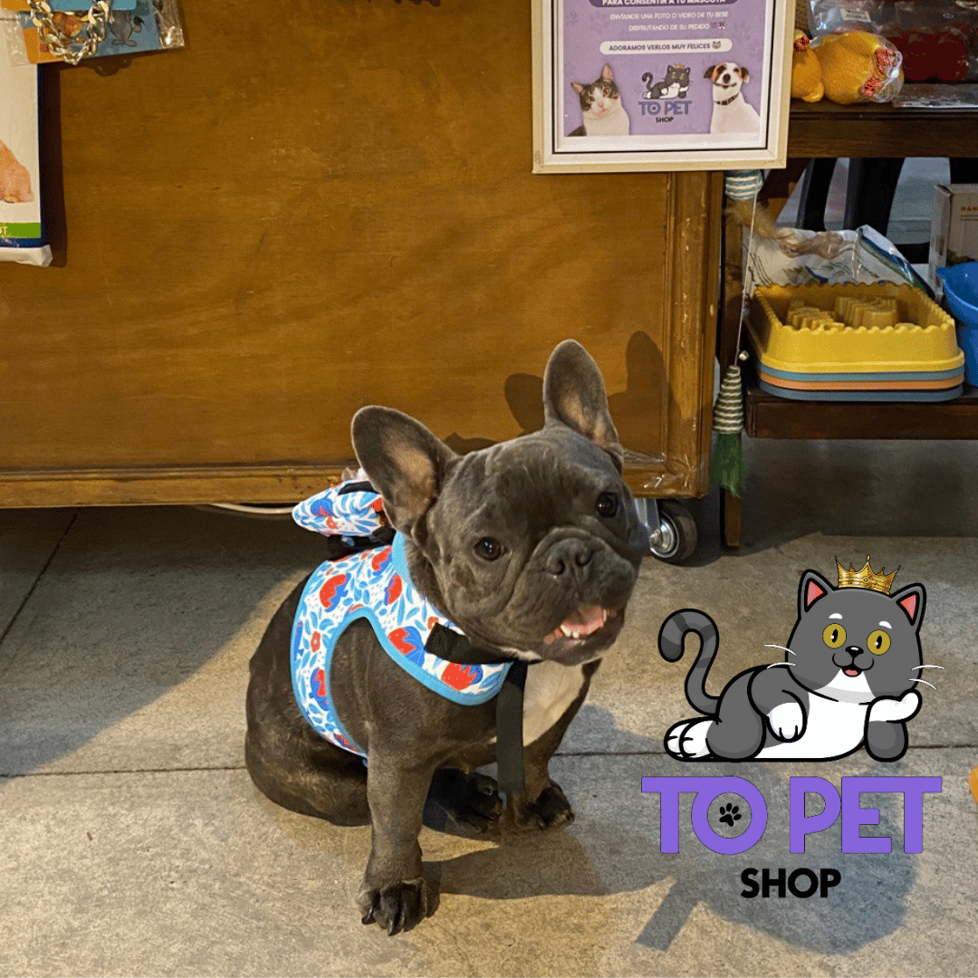 Home - Productos para mascotas - ToPet Shop