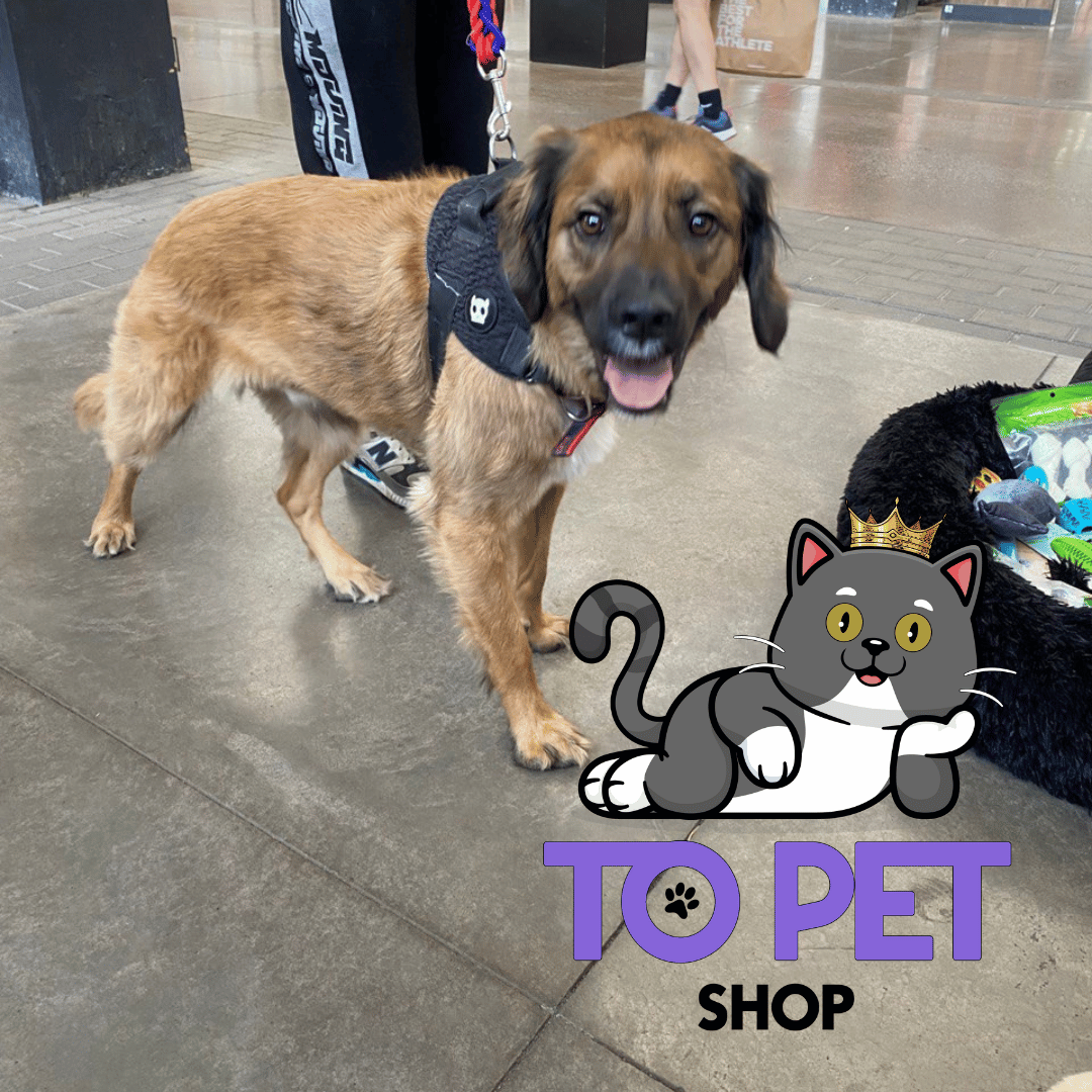 Home - Productos para mascotas - ToPet Shop